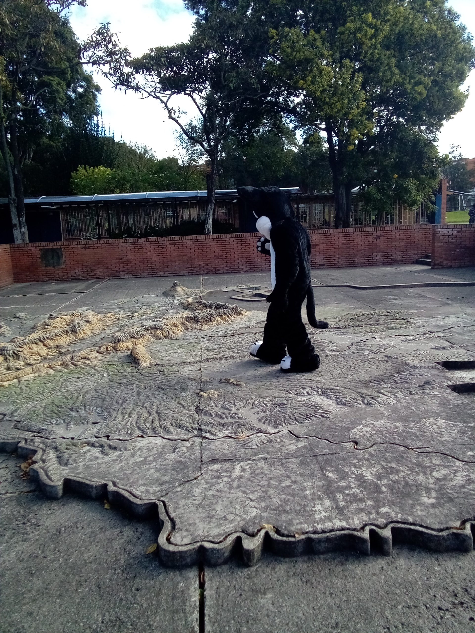 Mascota Institucional – Instituto Pedagógico Nacional